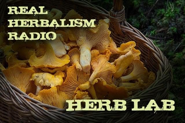 63.Herb Lab with Mushroom Medicine and Herbal 101 | The Practical Herbalist