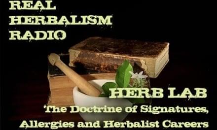 69.Herb Lab with Primitive Skills and Ancestral Living Skills | The ...