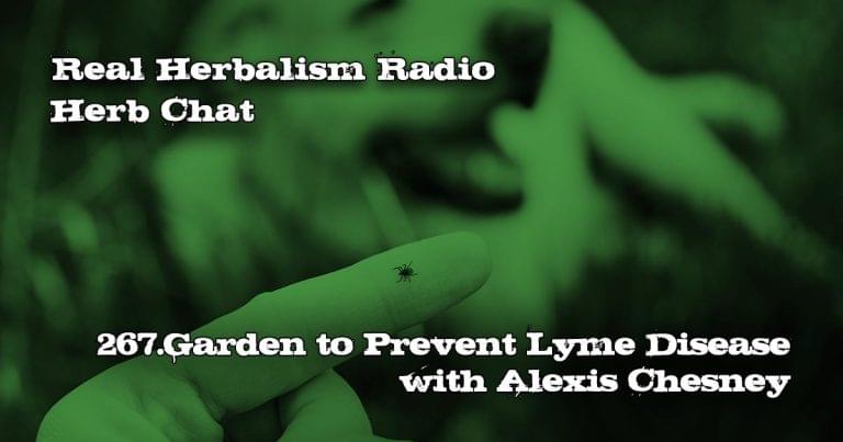 267.Garden to Prevent Lyme Disease with Alexis Chesney Herb Chat | The ...